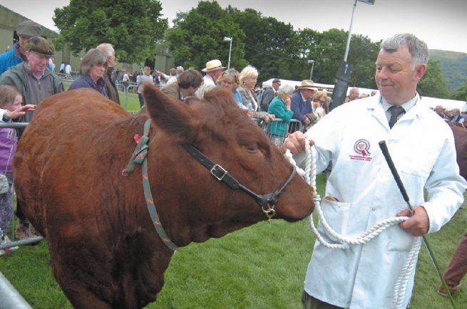 New features revealed for this year's Royal Three Counties Show - The ...