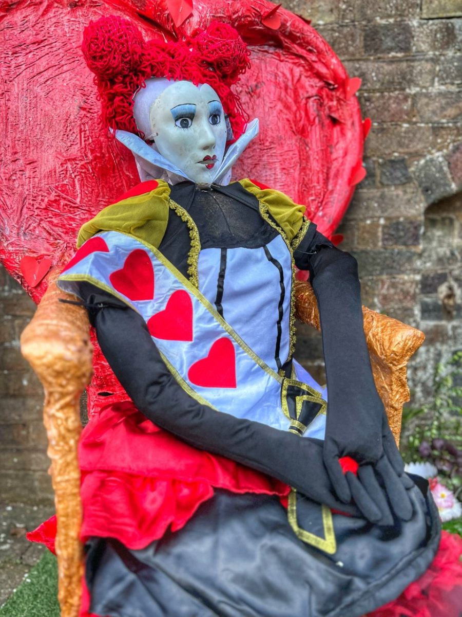 IN PICTURES - Photographer Tarquin Shaw-Young captures this year's ...